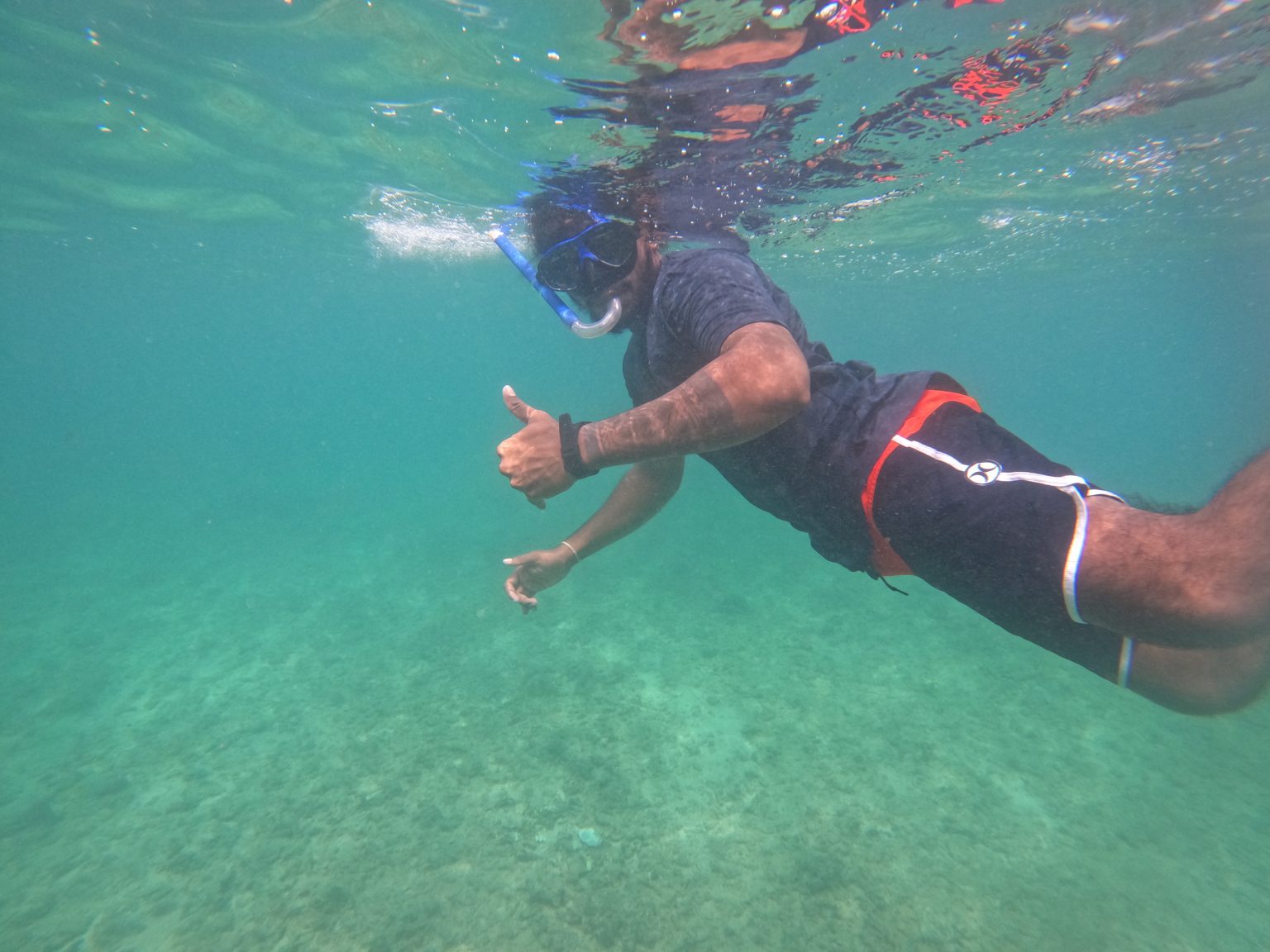 Home - Whale Snorkeling and Diving in Mirissa | Maduzz Tours